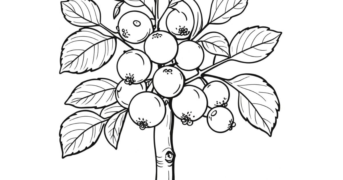 Delícias do Quintal: Desenho de Jabuticaba para Colorir